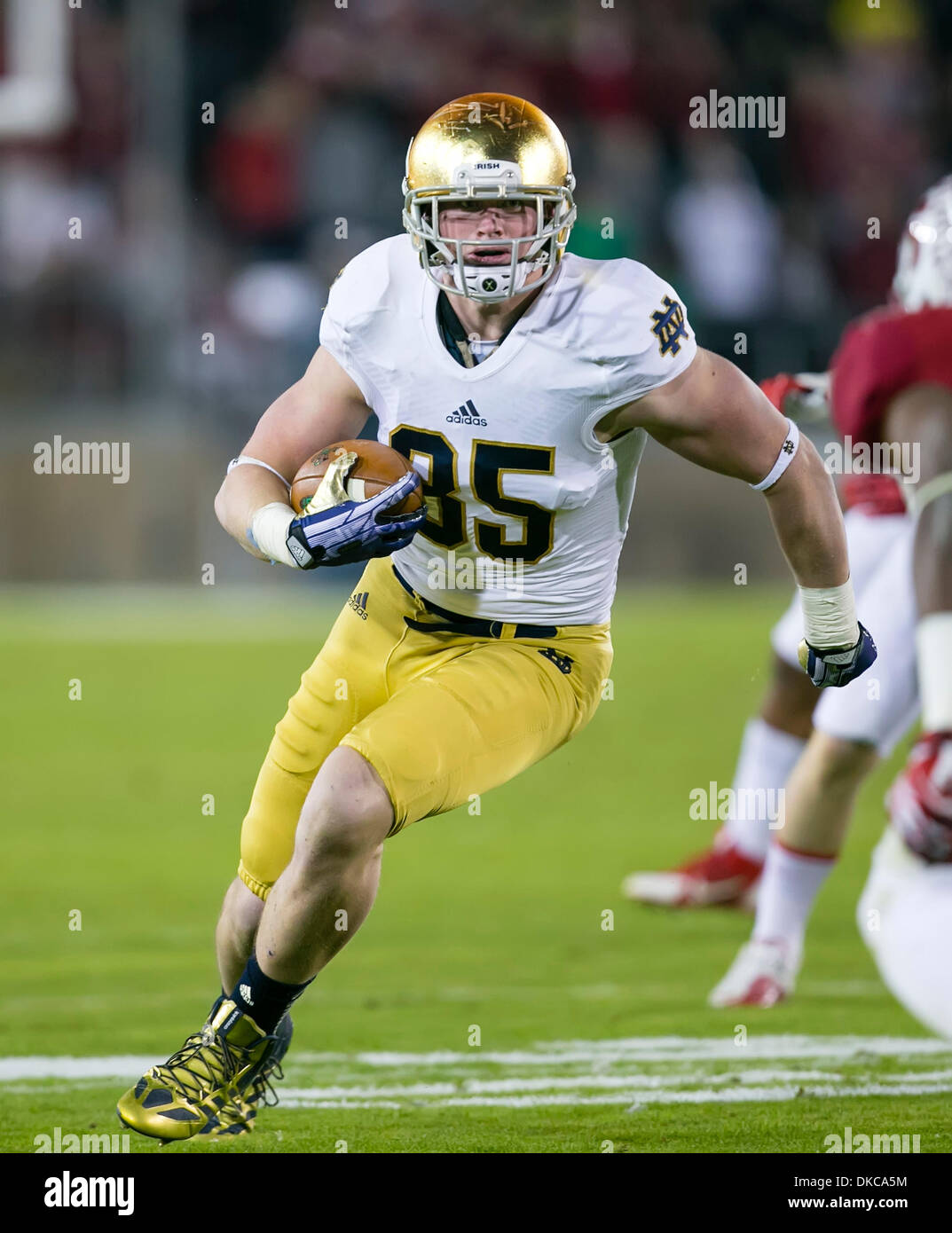 Troy Niklas Cardinals