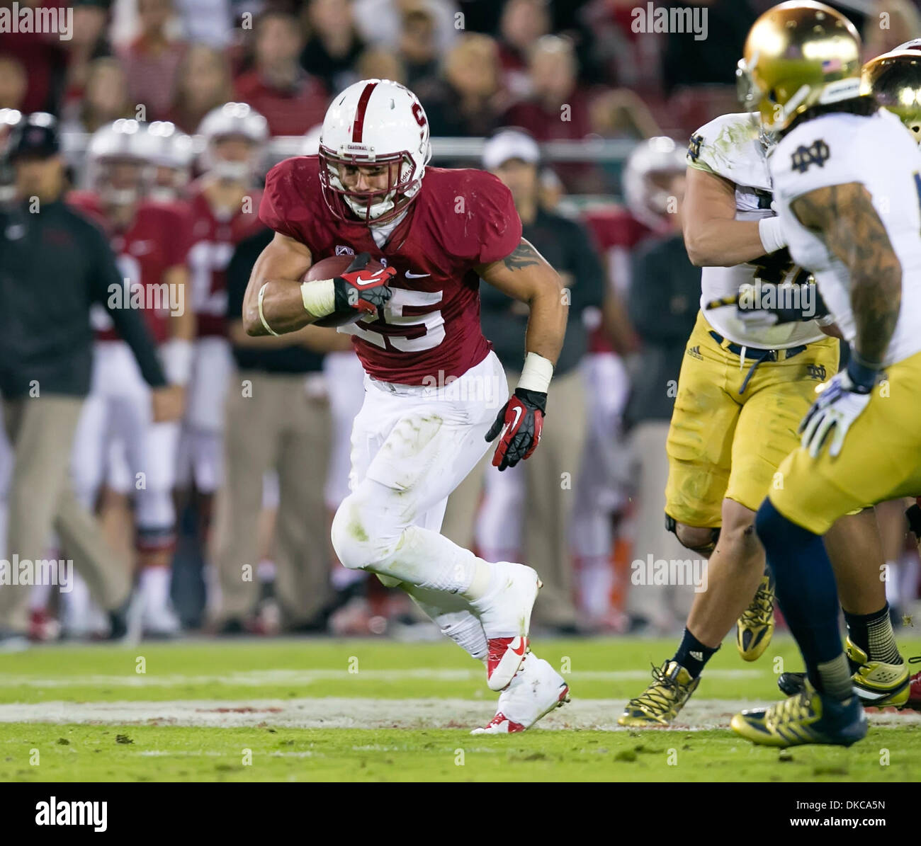 Palo Alto, CA, . 30th Nov, 2013. Stanford Cardinal running back Tyler ...