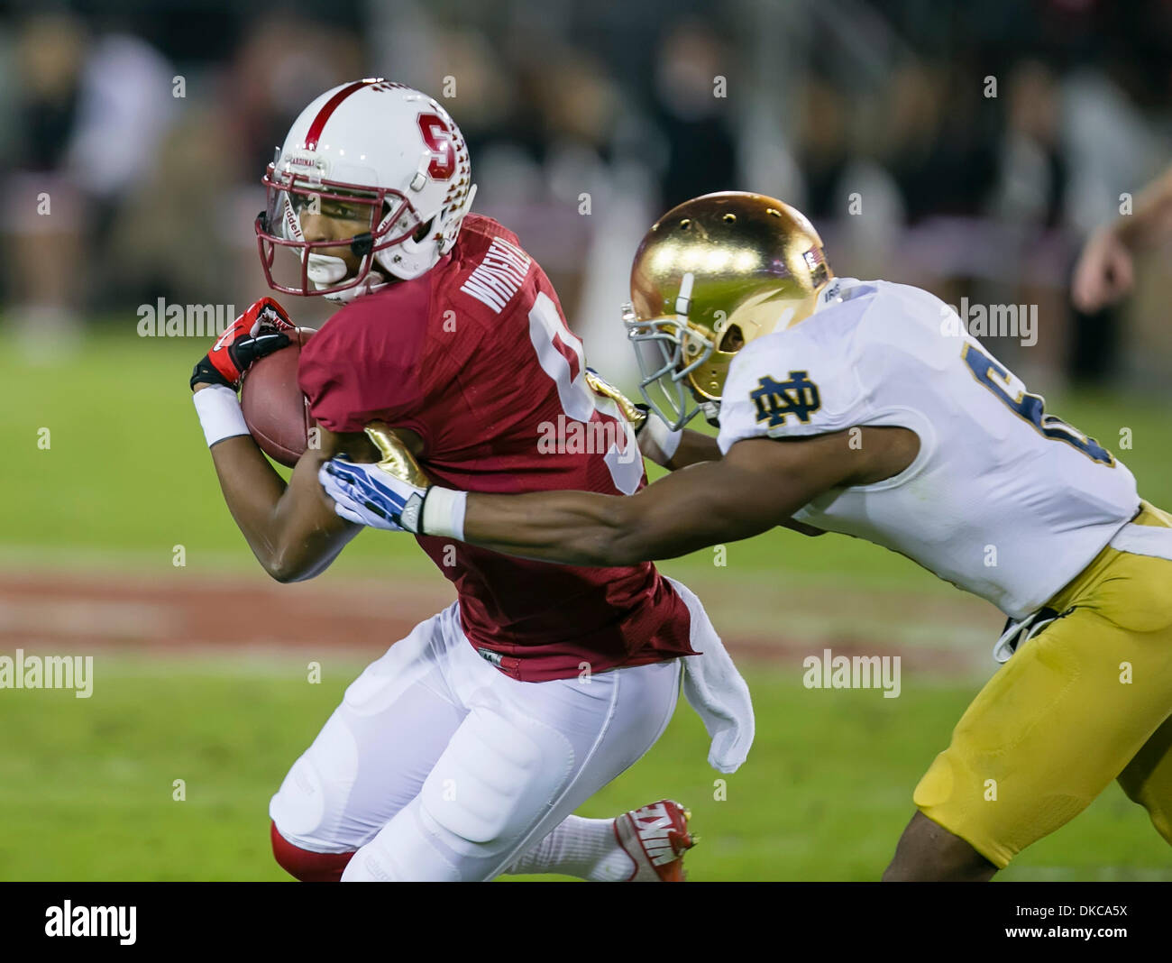 Kodi whitfield hi-res stock photography and images - Alamy