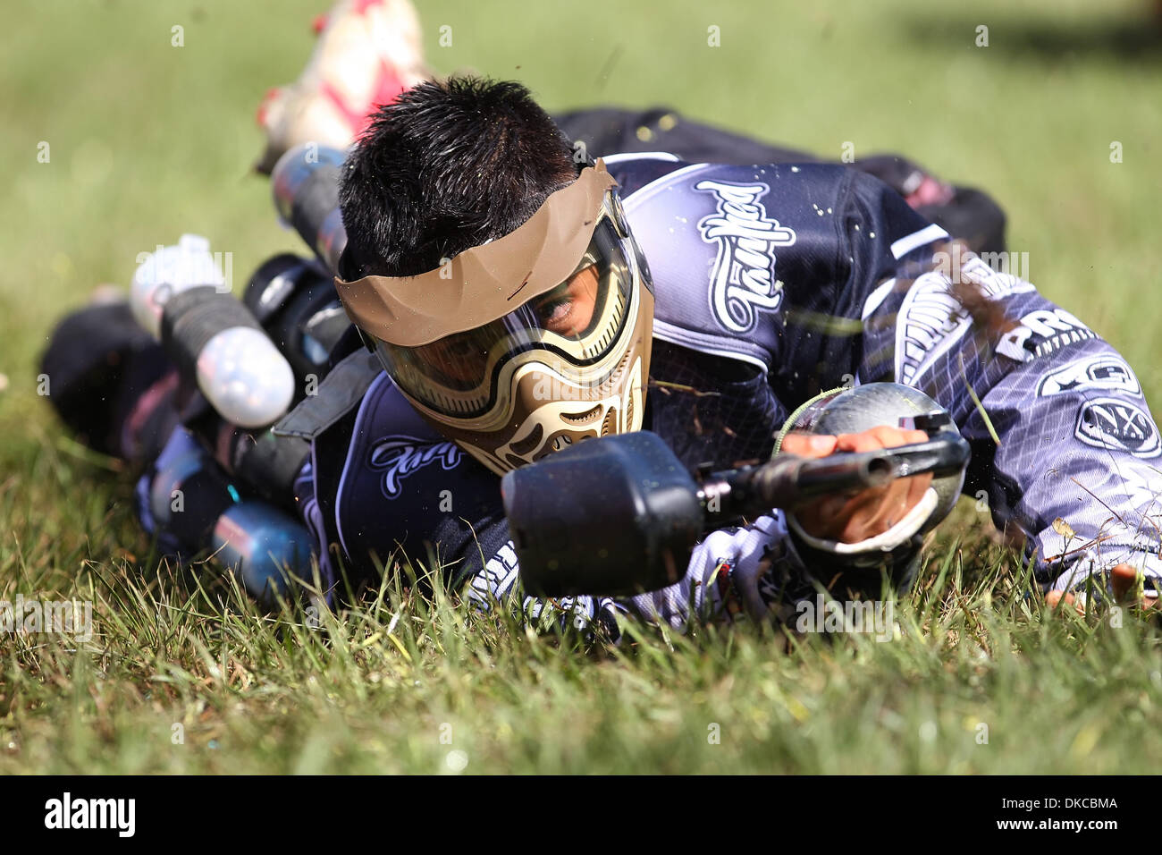 Oct. 20, 2011 - Polk City, Florida, U.S - An avarice dives into the ...