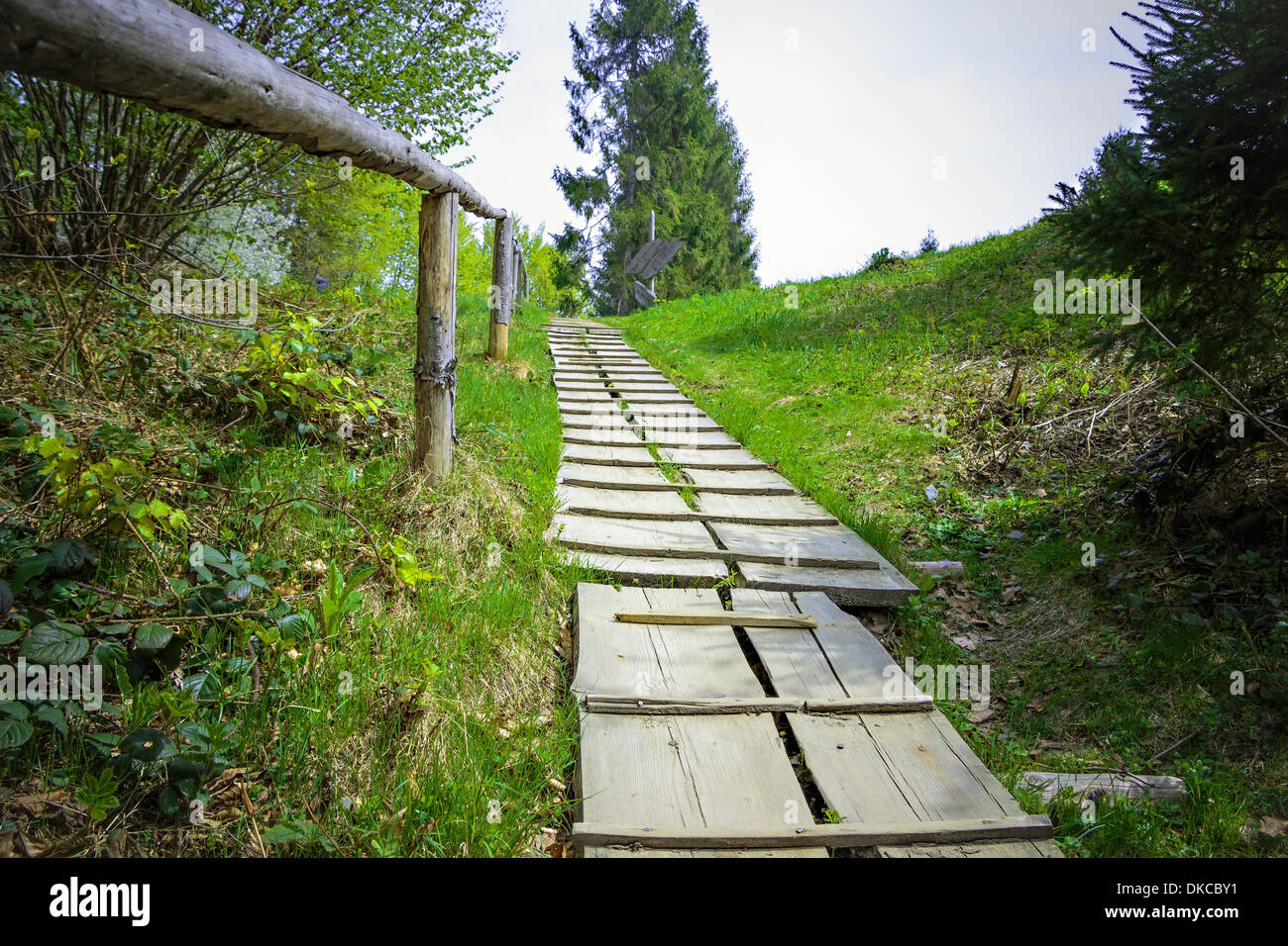 wooden footpath downhill in forest in the spring Stock Photo - Alamy