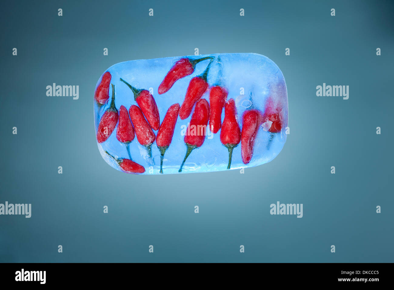 Red chili peppers frozen in a block of ice on a blue background Stock ...