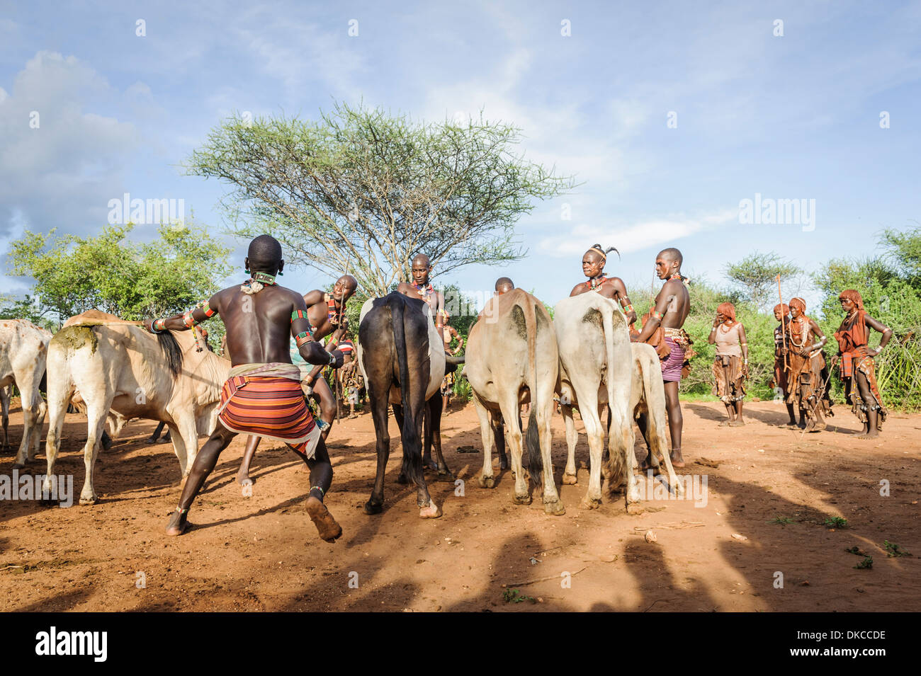 Tribe gathering traditional ceremony hi-res stock photography and ...