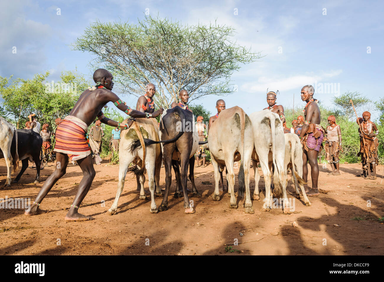 Aboriginal Gathering Stock Photos & Aboriginal Gathering Stock Images ...