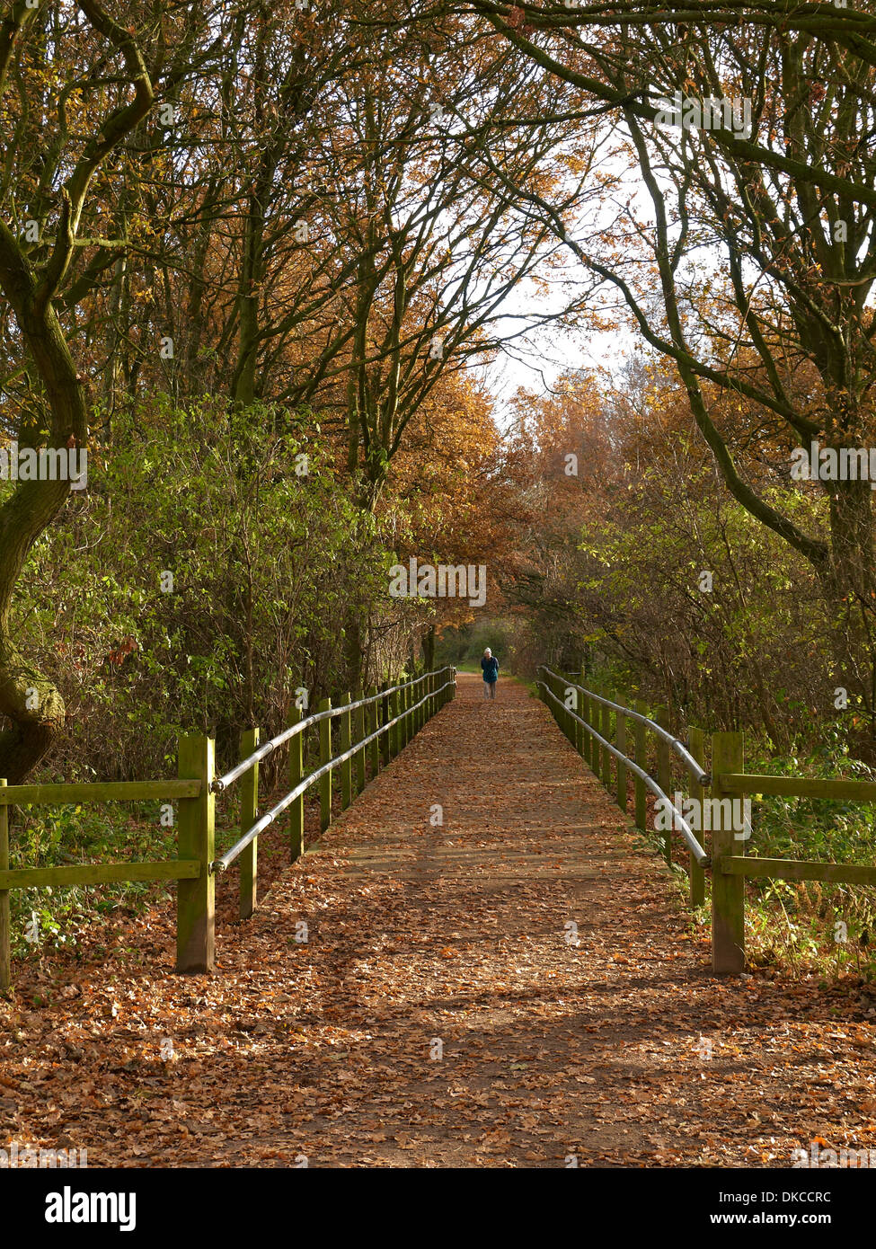 Wheelock salt line hi-res stock photography and images - Alamy