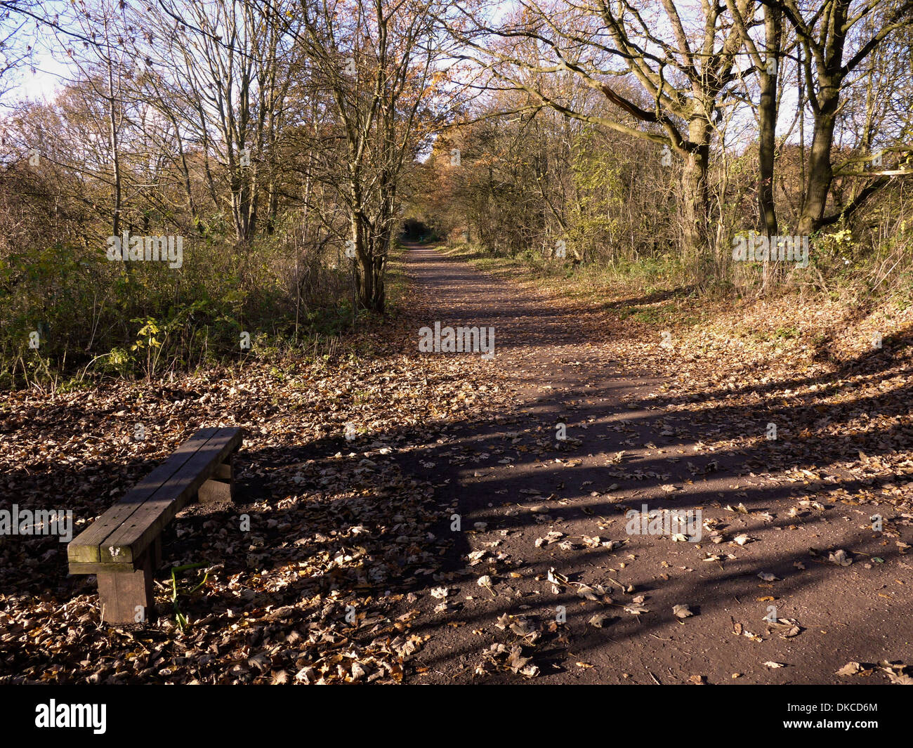 Wheelock Rail Trail is a disused railway line now public footpath and ...