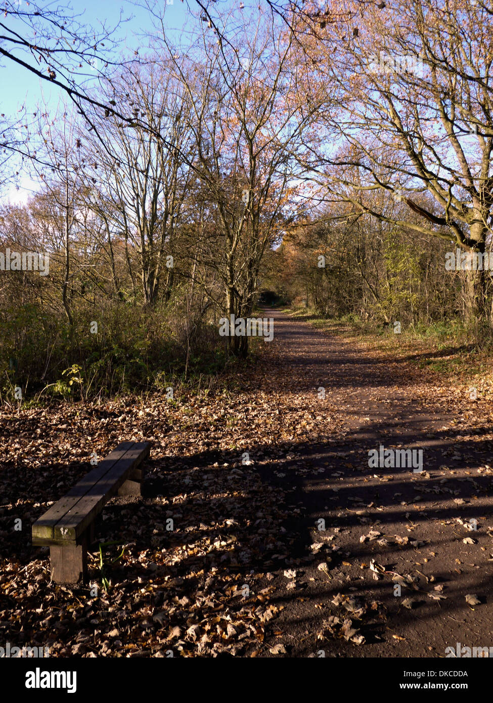 Wheelock Rail Trail is a disused railway line now public footpath and ...