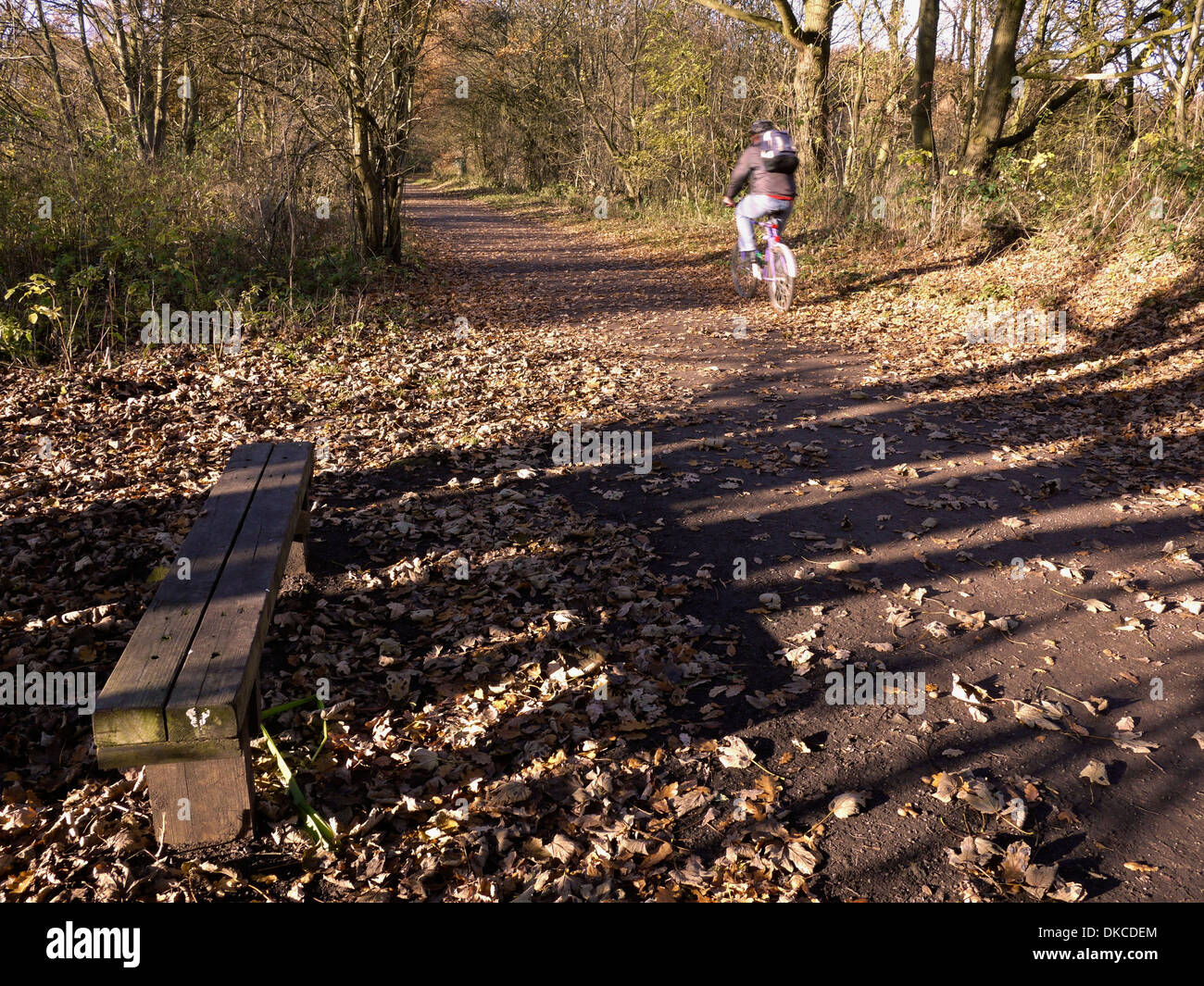 Wheelock Rail Trail is a disused railway line now public footpath and ...