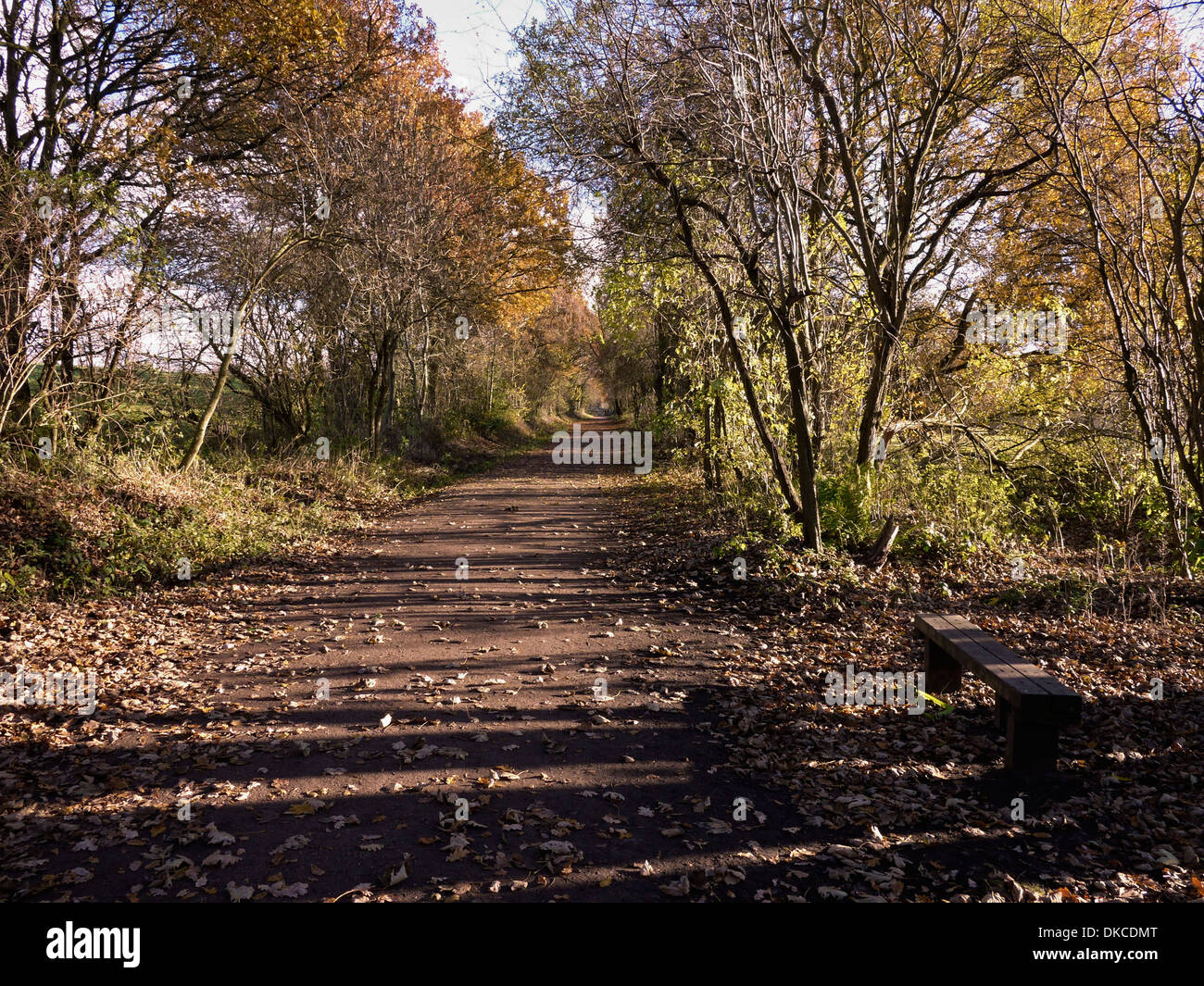 Wheelock Rail Trail is a disused railway line now public footpath and ...