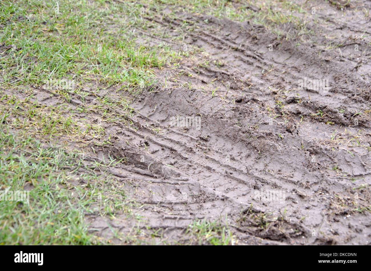 Ripped Grass High Resolution Stock Photography and Images - Alamy