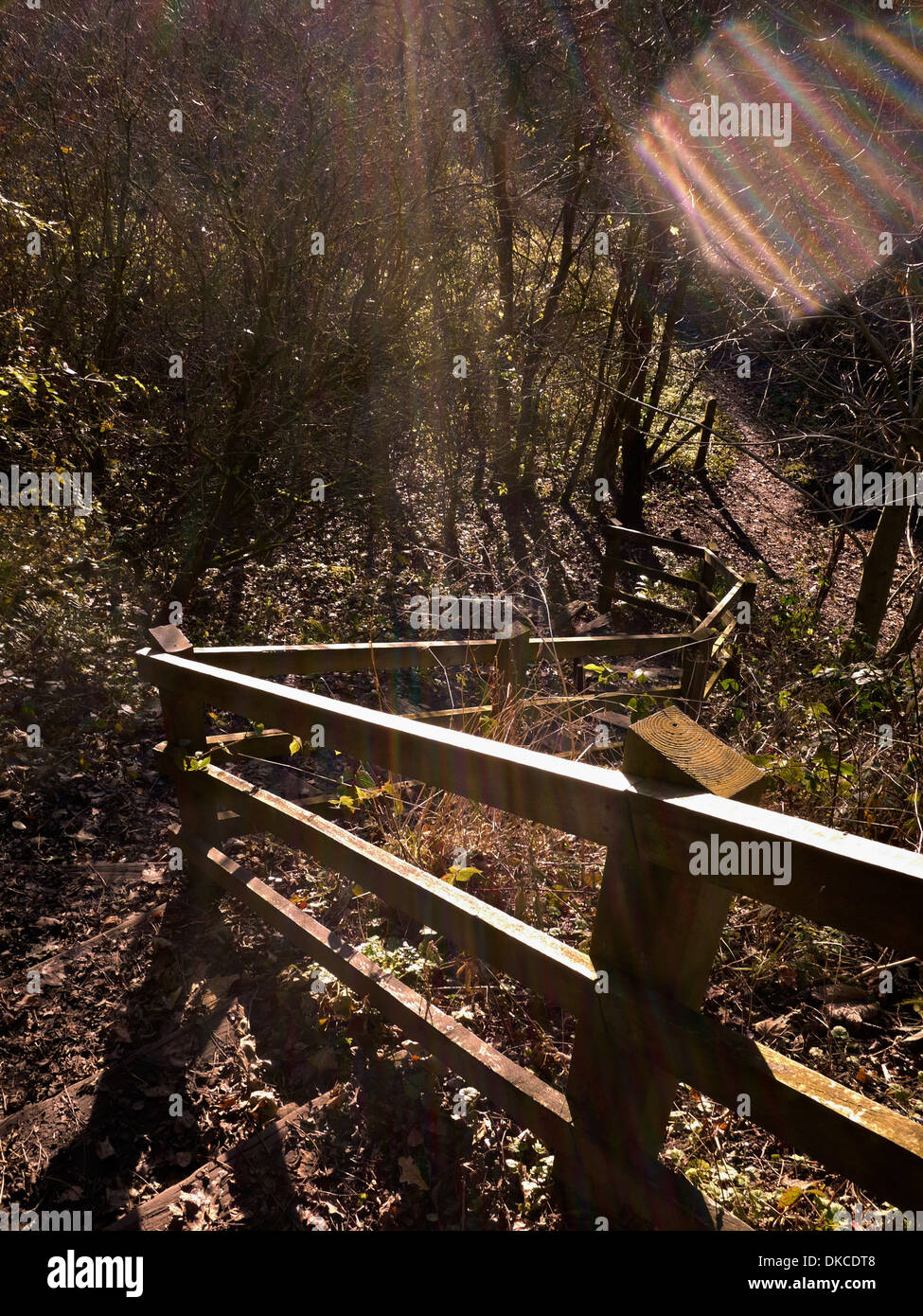 Steps on public footpath with sun rays in Cheshire UK Stock Photo - Alamy