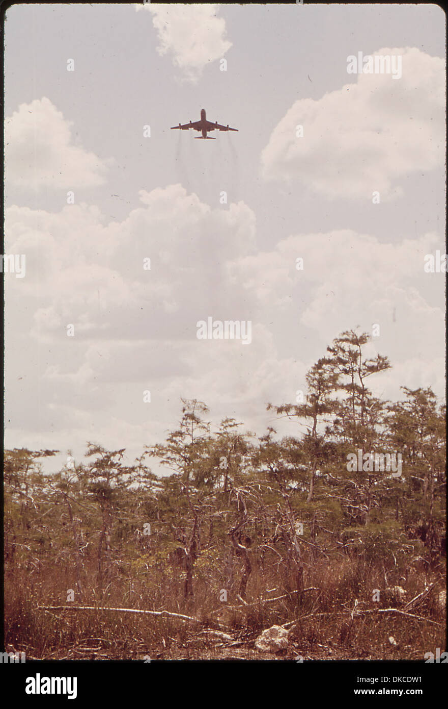 JET TAKES OFF FROM MIAMI-DADE JETPORT IN EVERGLADES 544491 Stock Photo ...