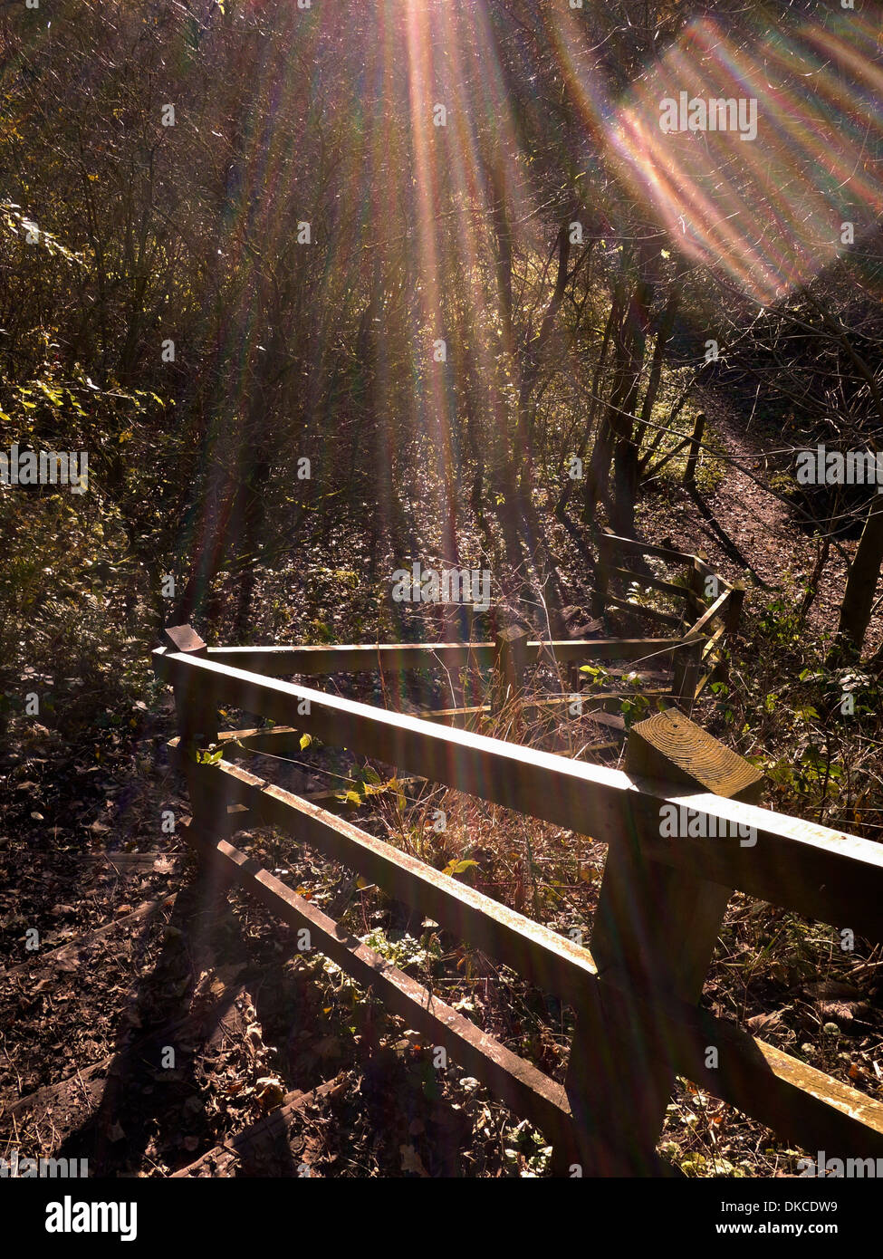Steps on public footpath with sun rays in Cheshire UK Stock Photo - Alamy