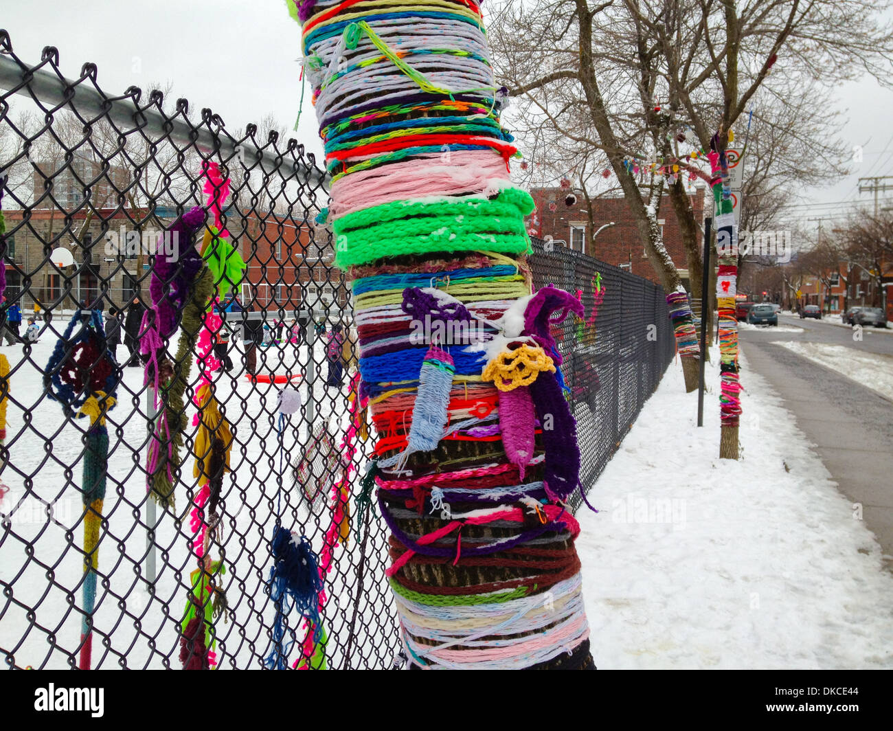 Knitted graffiti on trees & lampposts are a new trend of urban art ...