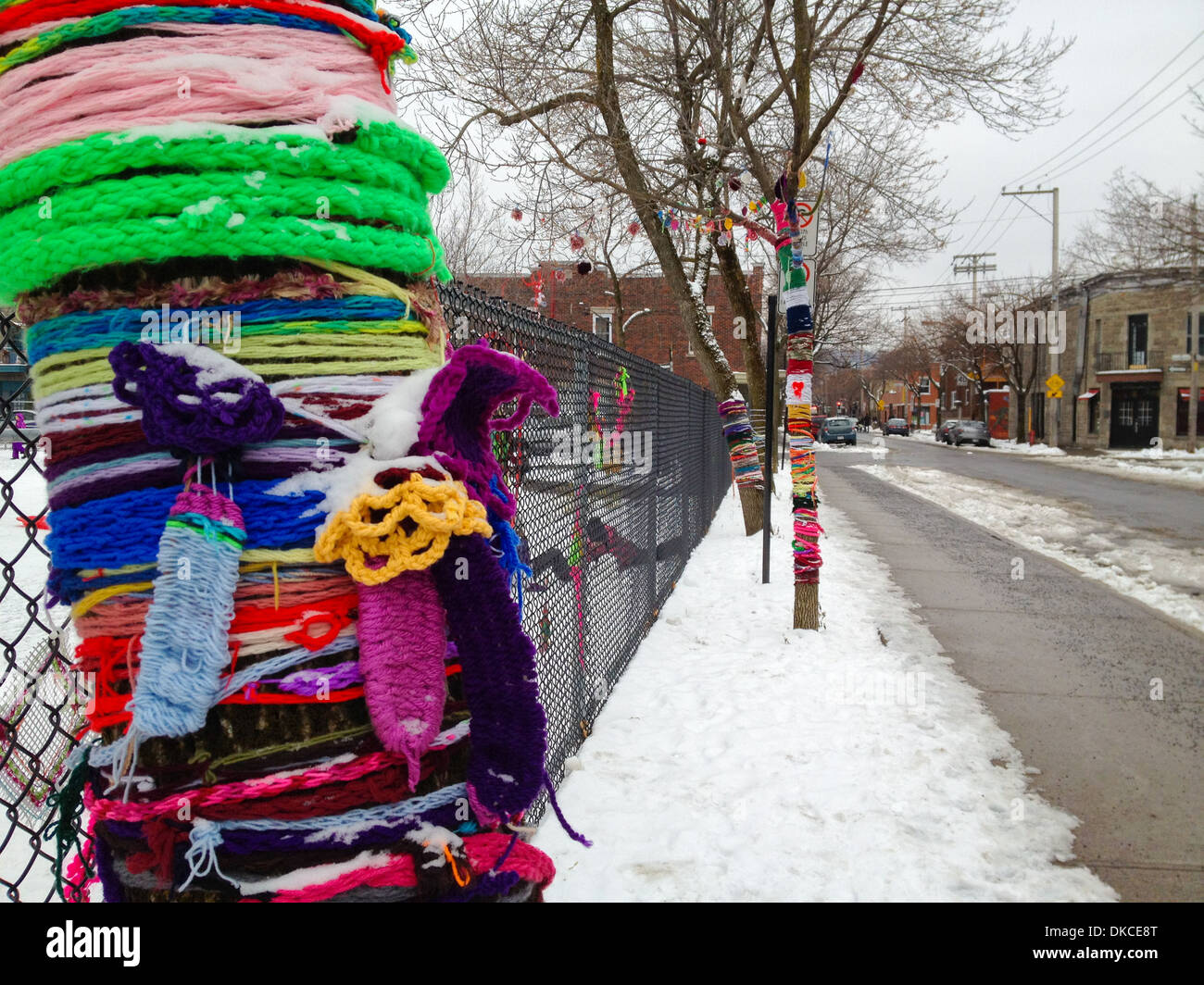 Knitted graffiti on trees & lampposts are a new trend of urban art ...