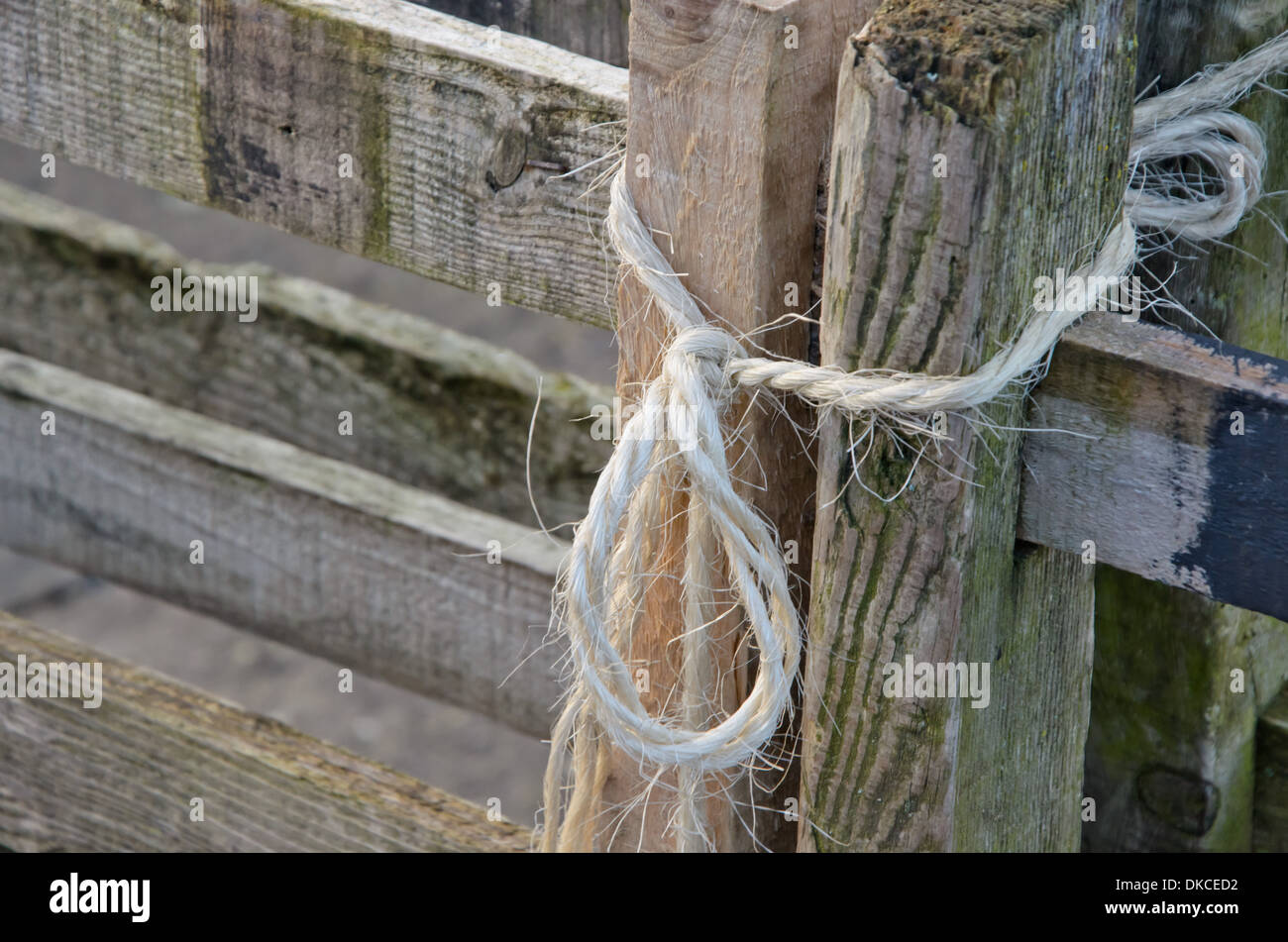 Gate closed and held together with piece of knot string Stock Photo - Alamy