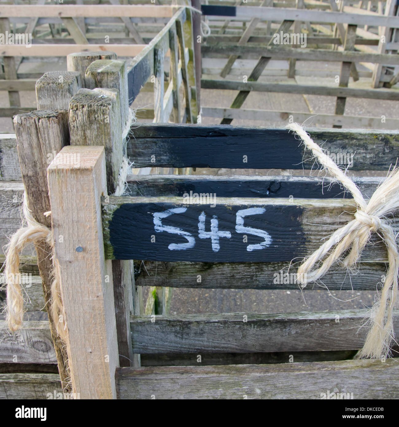 Close up detail view of empty wooden pens Cattle Market UK Stock Photo ...