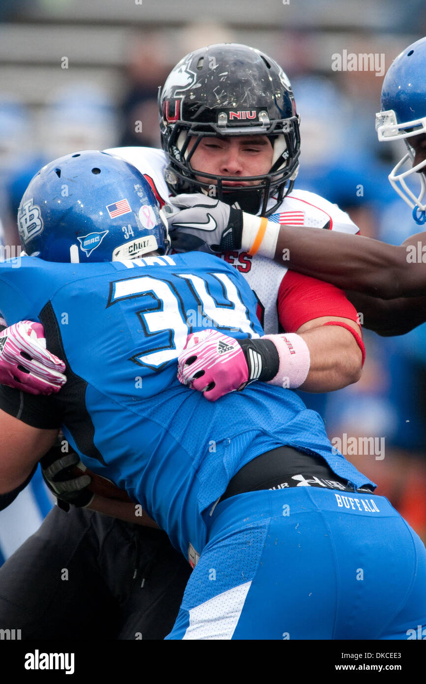 Buffalo in shed hi-res stock photography and images - Alamy