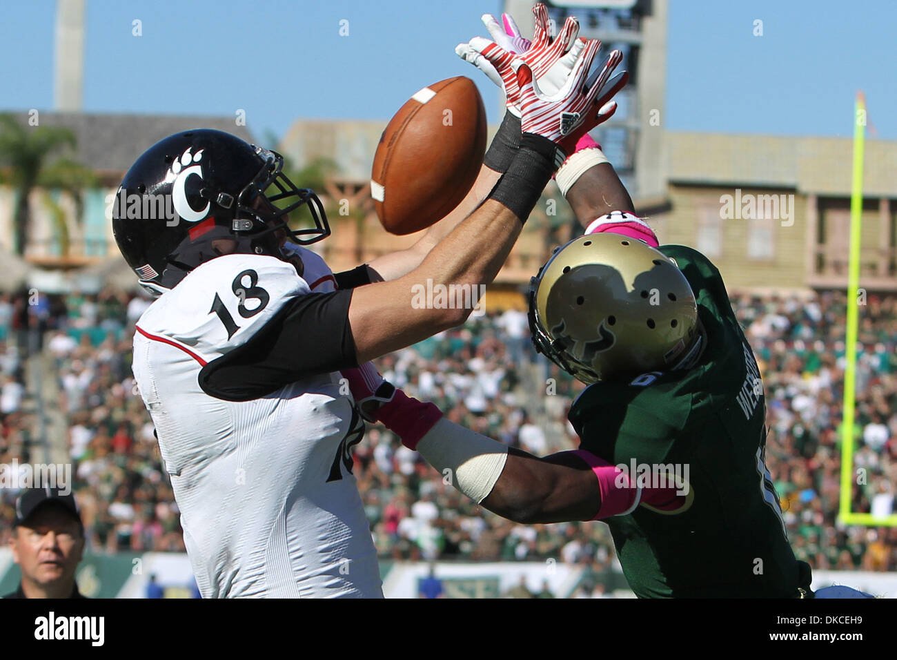 Oct. 22, 2011 - Tampa, Florida, U.S - Cincinnati Bearcats tight end ...