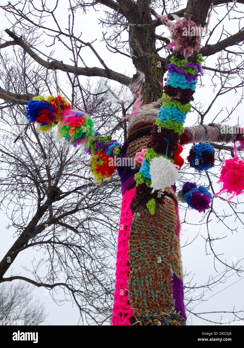 Knitted graffiti on trees & lampposts are a new trend of urban art ...