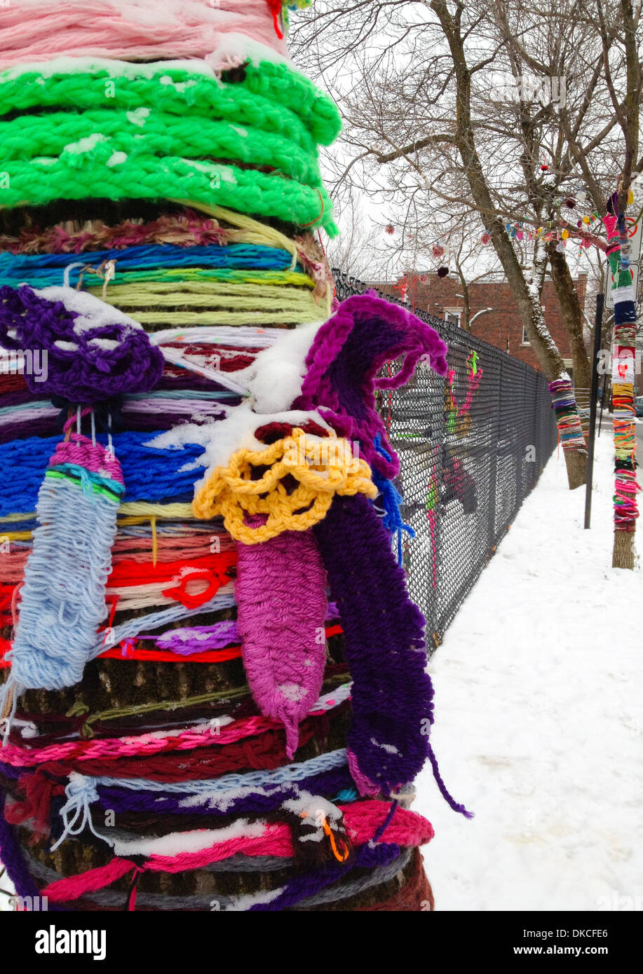 Knitted graffiti on trees & lampposts are a new trend of urban art ...