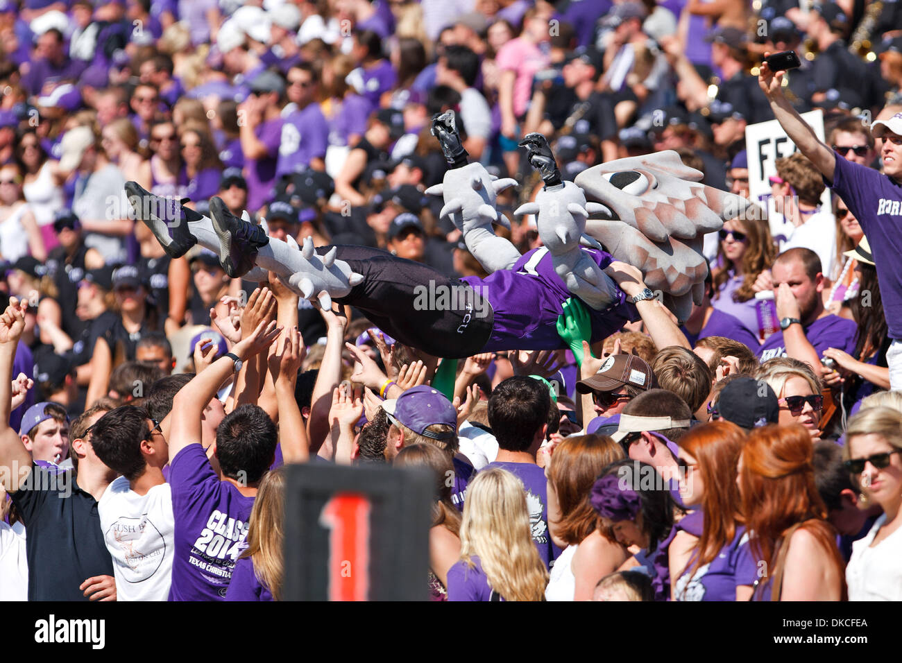 Tcu horned frogs mascot hi-res stock photography and images - Alamy