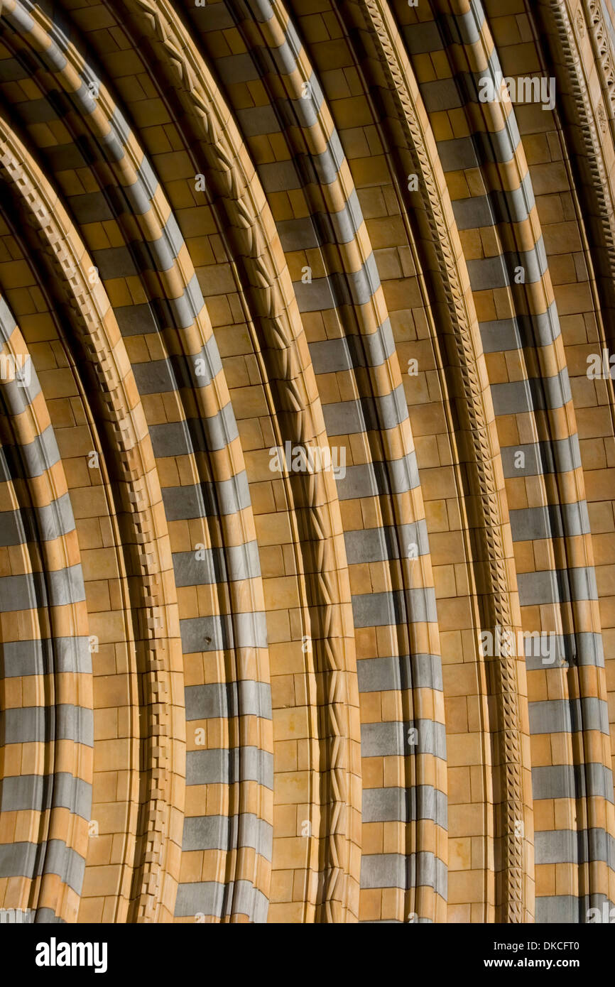 Row of tile of Natural History Museum in London. Sandy color of ...
