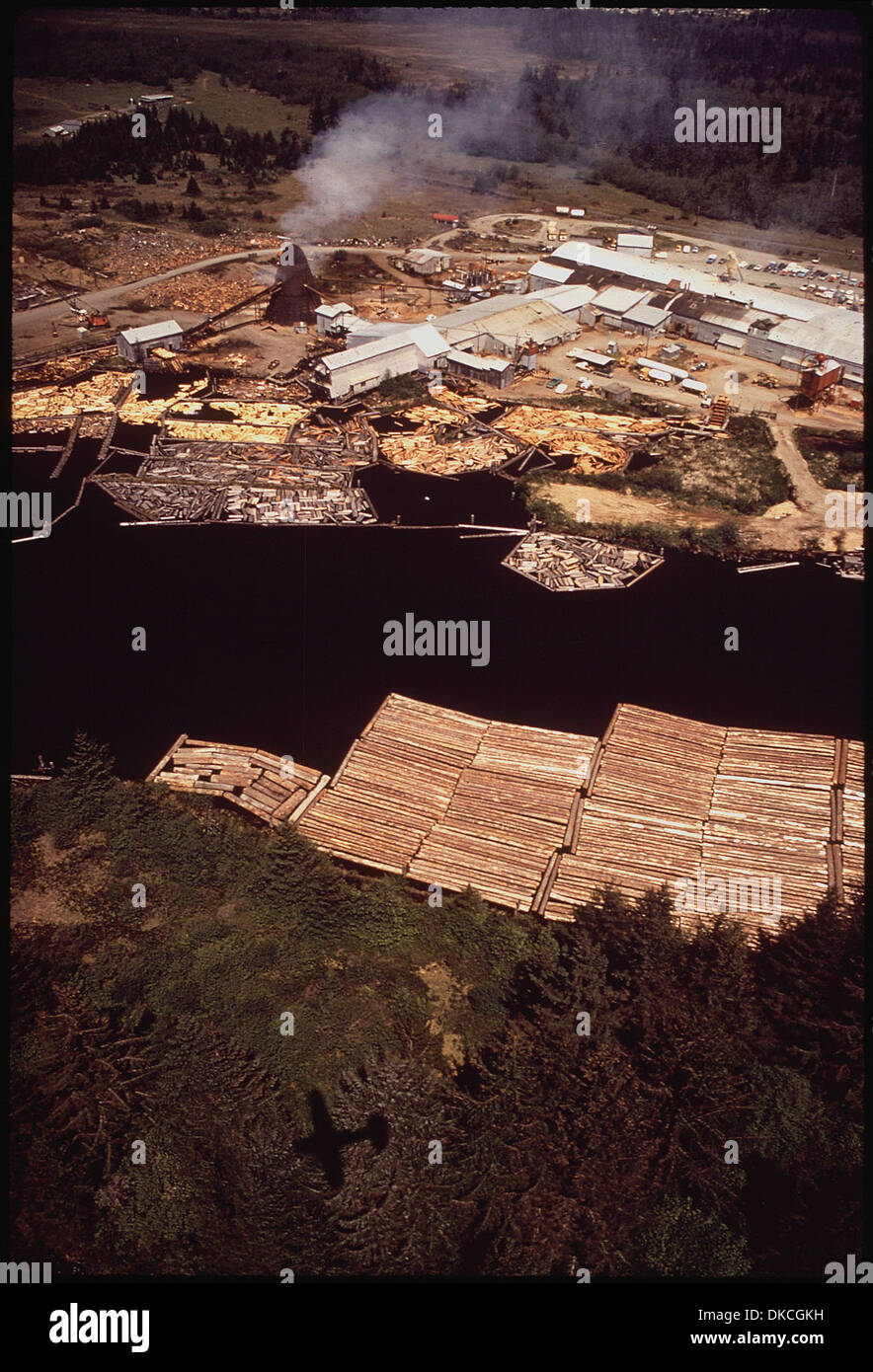A photograph of a lumber mill, capturing the industrial process of ...