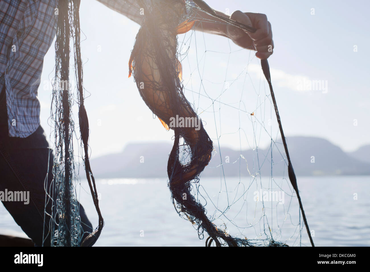 Person holding fish in net, Aure, Norway Stock Photo - Alamy
