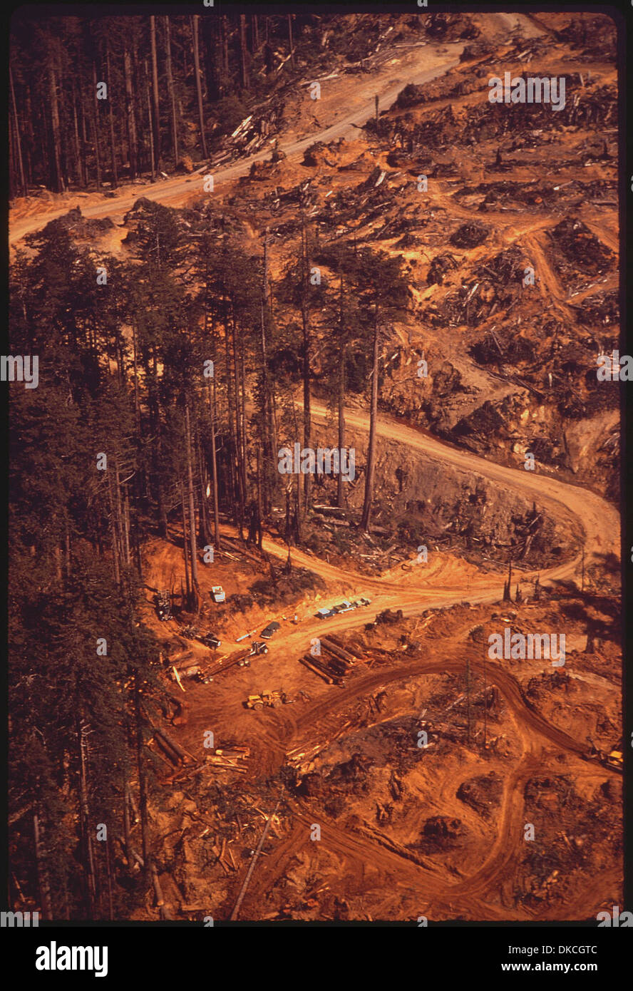 This image depicts the environmental impact of logging roads and clear ...