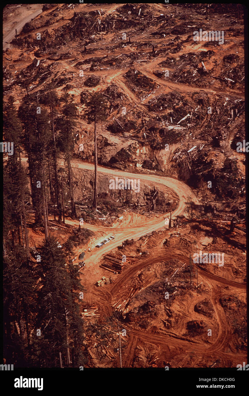 Lumber roads hi-res stock photography and images - Alamy