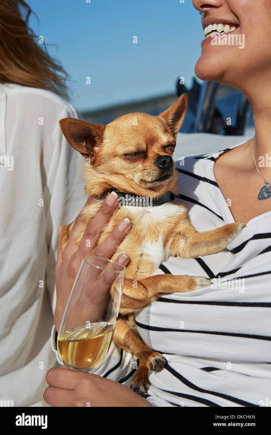 Holding dog hi-res stock photography and images - Alamy