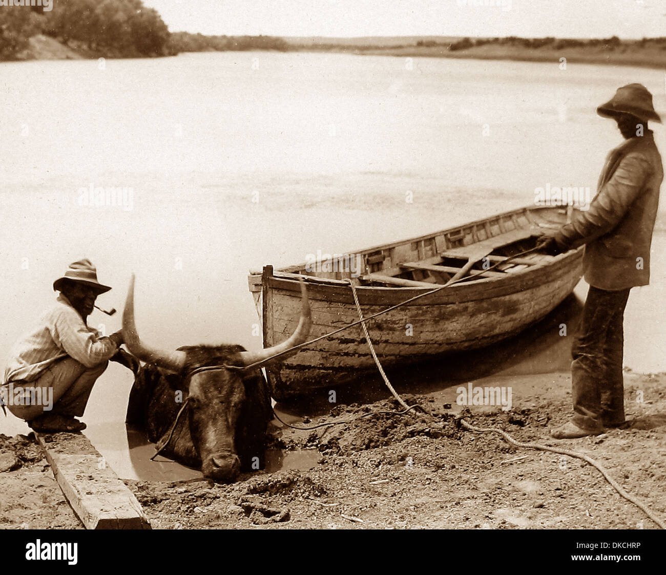 British cape colony hi-res stock photography and images - Alamy