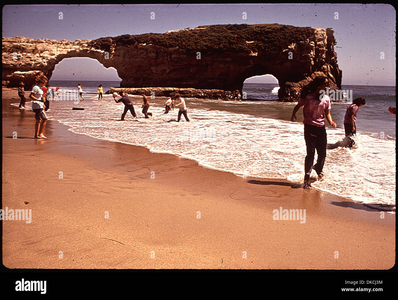 Natural history archive hi-res stock photography and images - Alamy