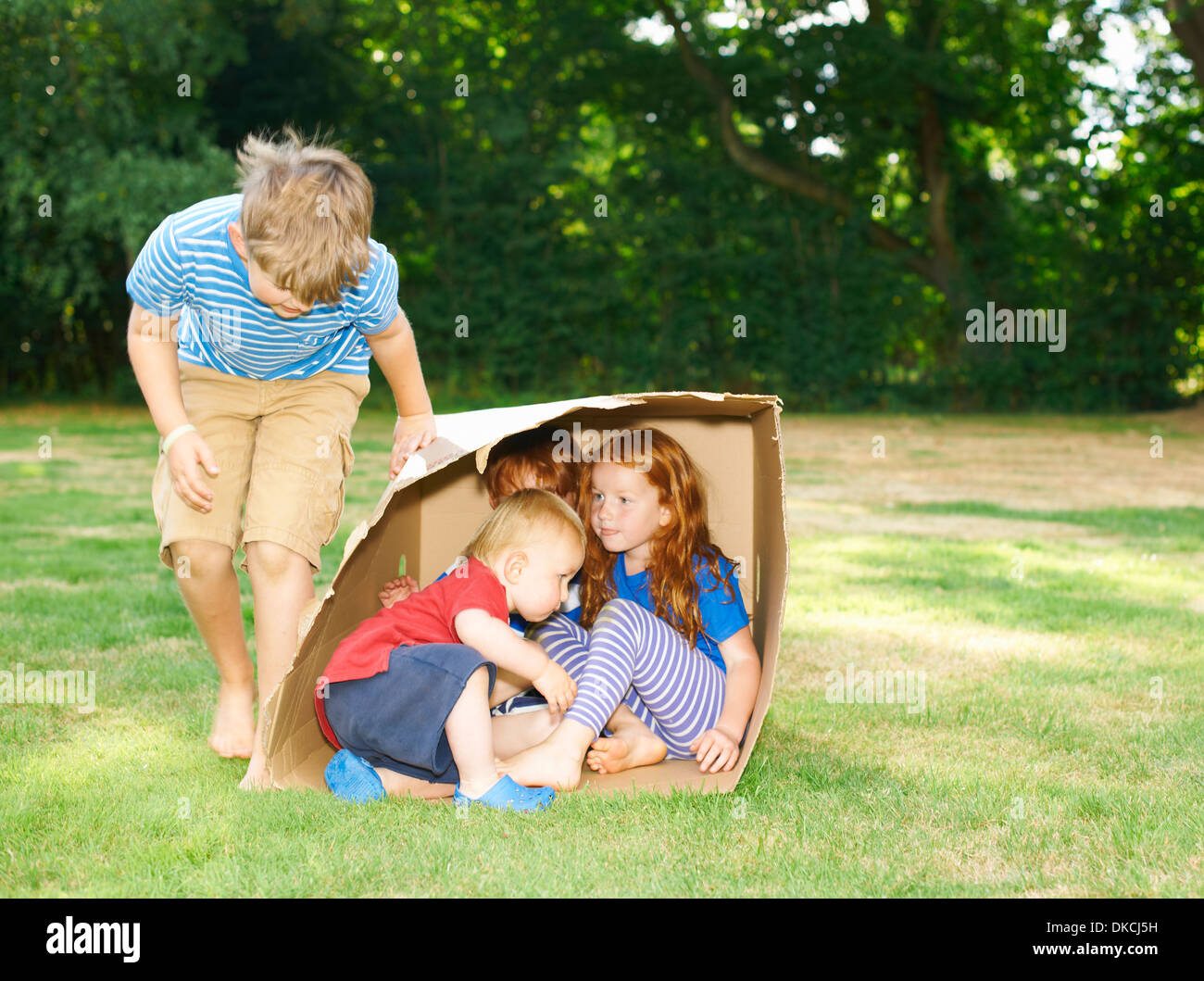 Squashed cardboard hi-res stock photography and images - Alamy