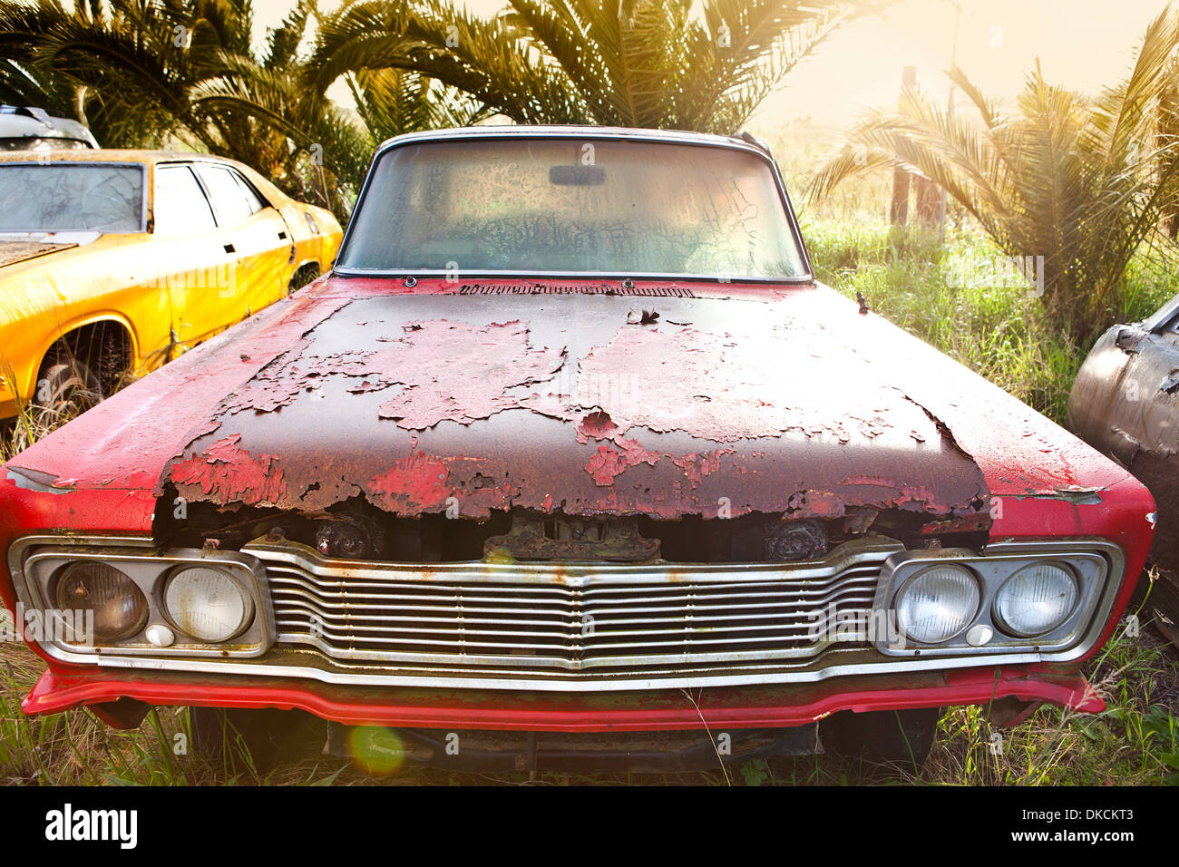 Car in front yard hi-res stock photography and images - Alamy
