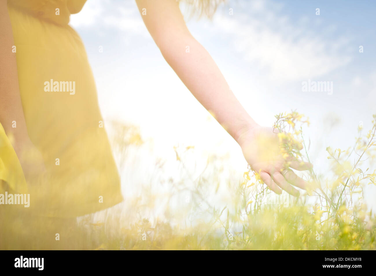 Girl touching flowers on meadow Stock Photo - Alamy