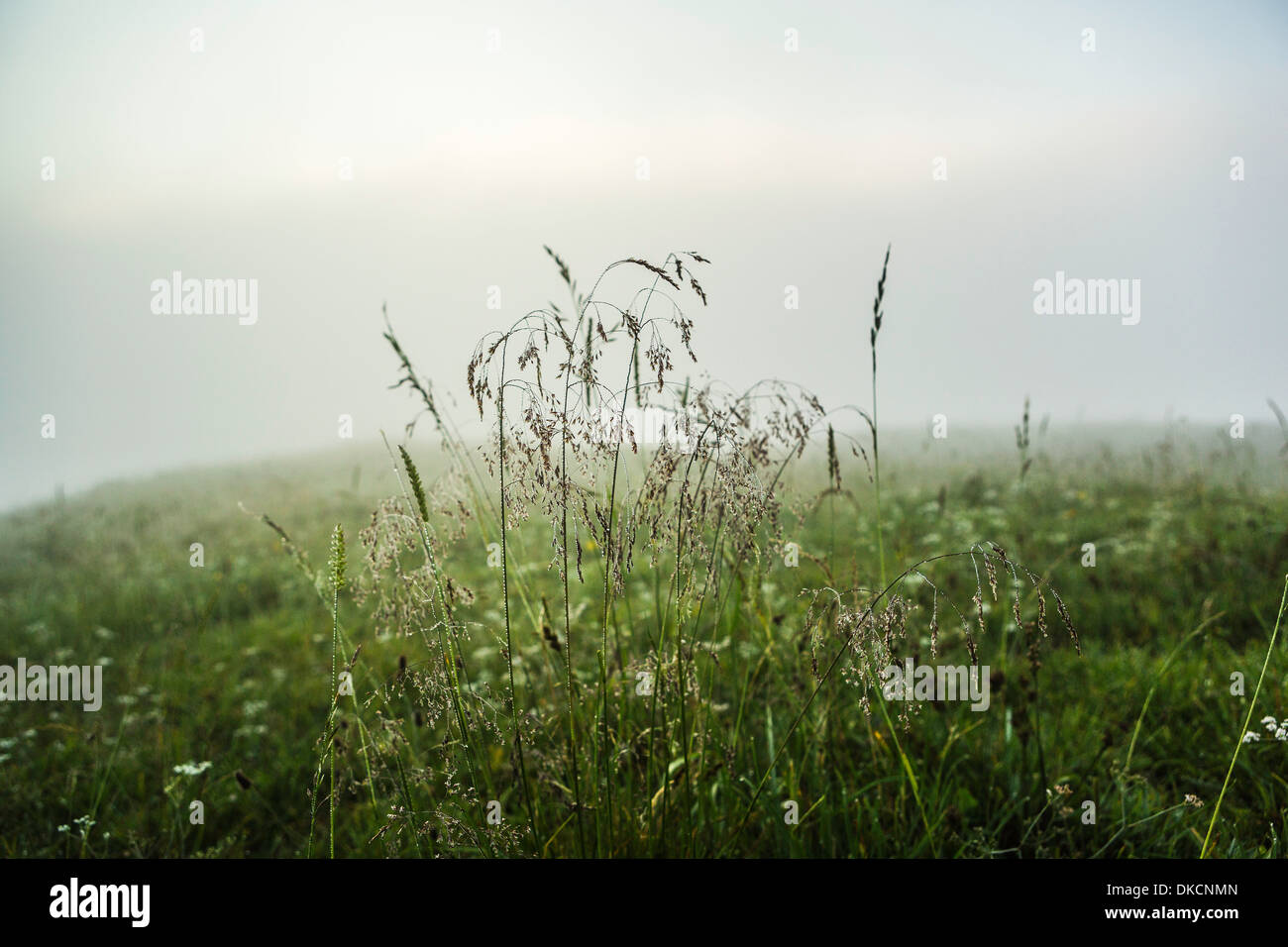 Remote landscape hi-res stock photography and images - Alamy