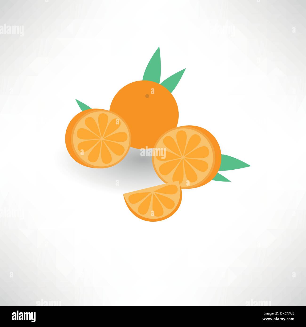 Mandarin peels Stock Vector Images - Alamy