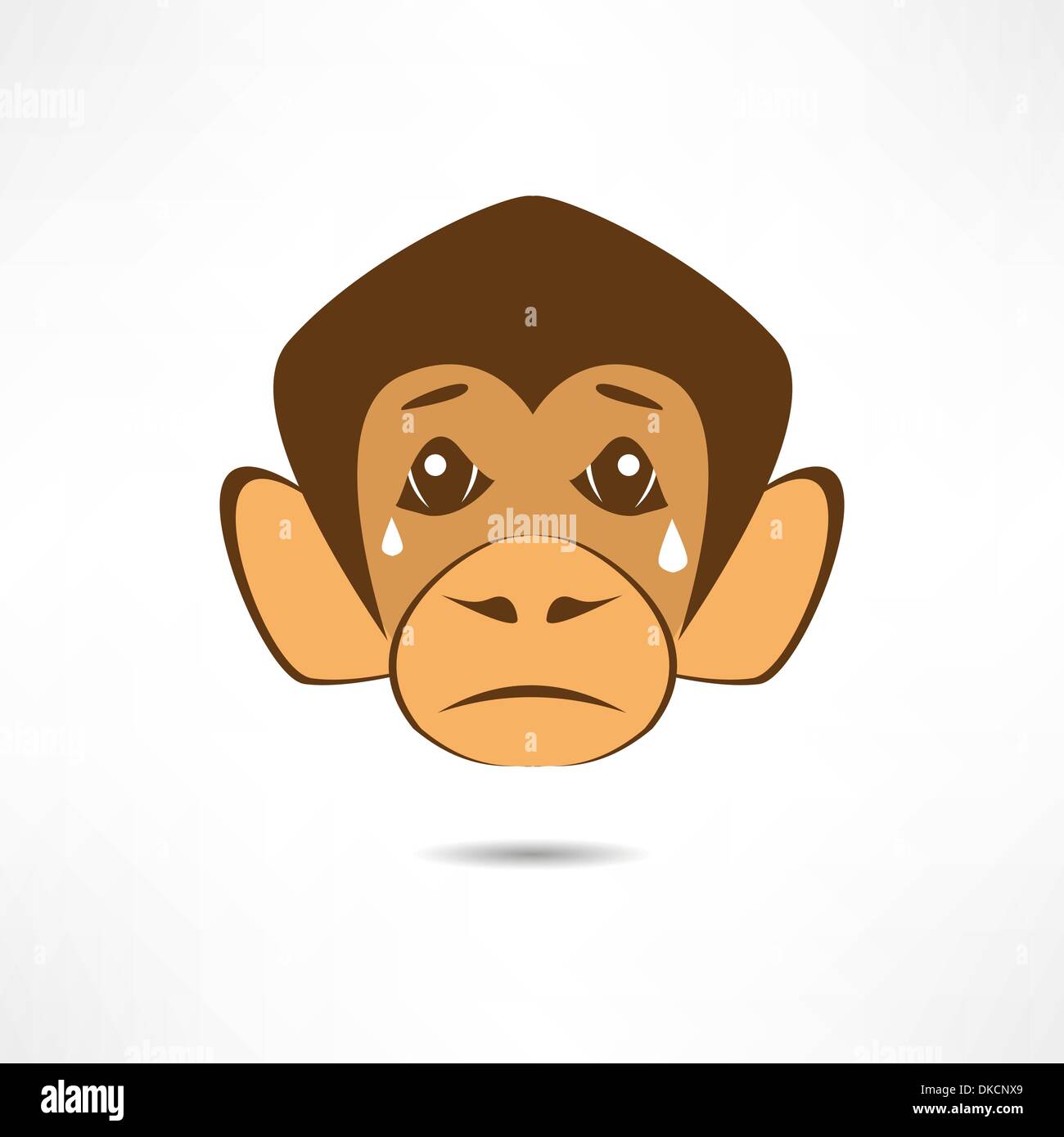 Monkey crying hi-res stock photography and images - Alamy
