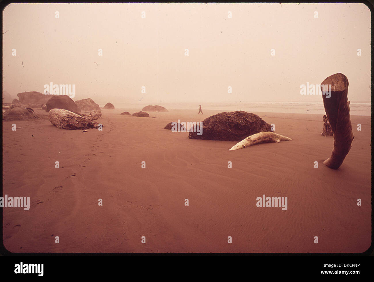 This photograph features a natural scene with rock formations, fish ...