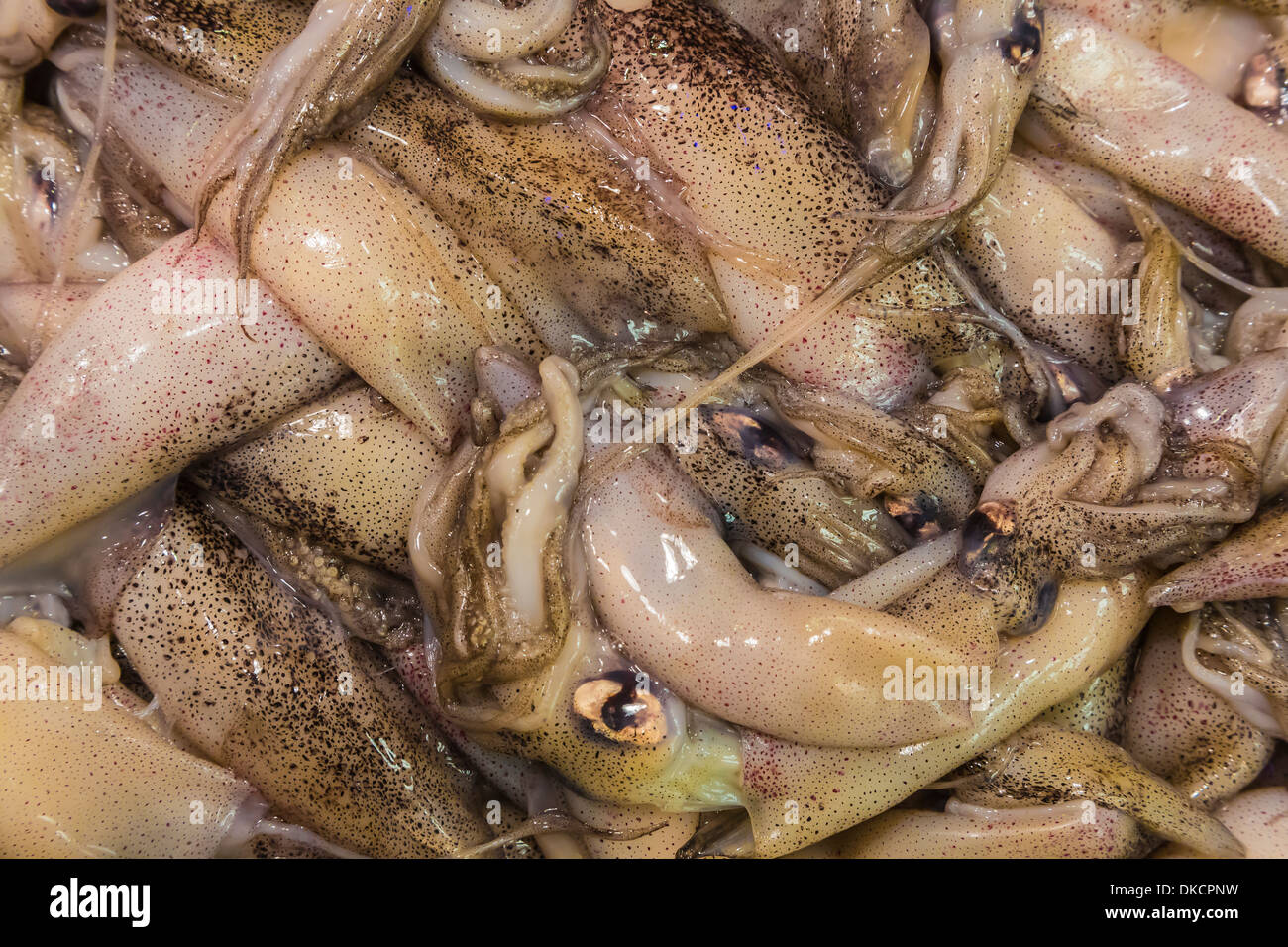 Seattle fish seafood fresh usa hi-res stock photography and images - Alamy
