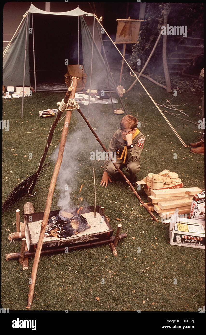 Scout-O-Rama is a large event celebrating the achievements of scouting ...