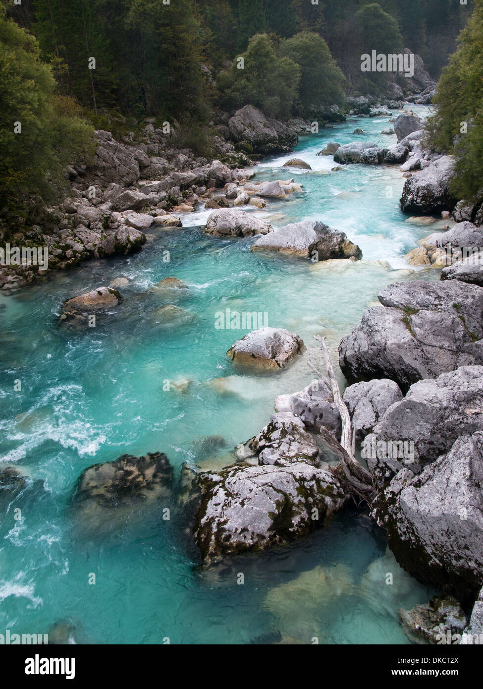 Vertical picture of Soca river with spectacular blue waters. Slovenia ...