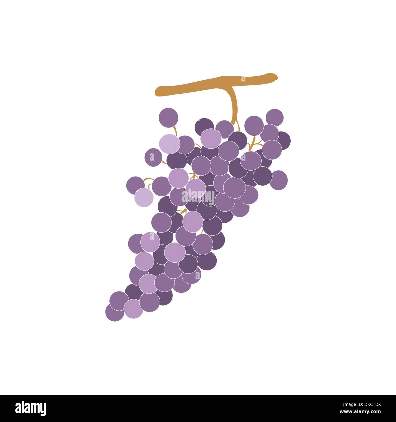 Grape leaves wine engraved illustration hi-res stock photography and ...