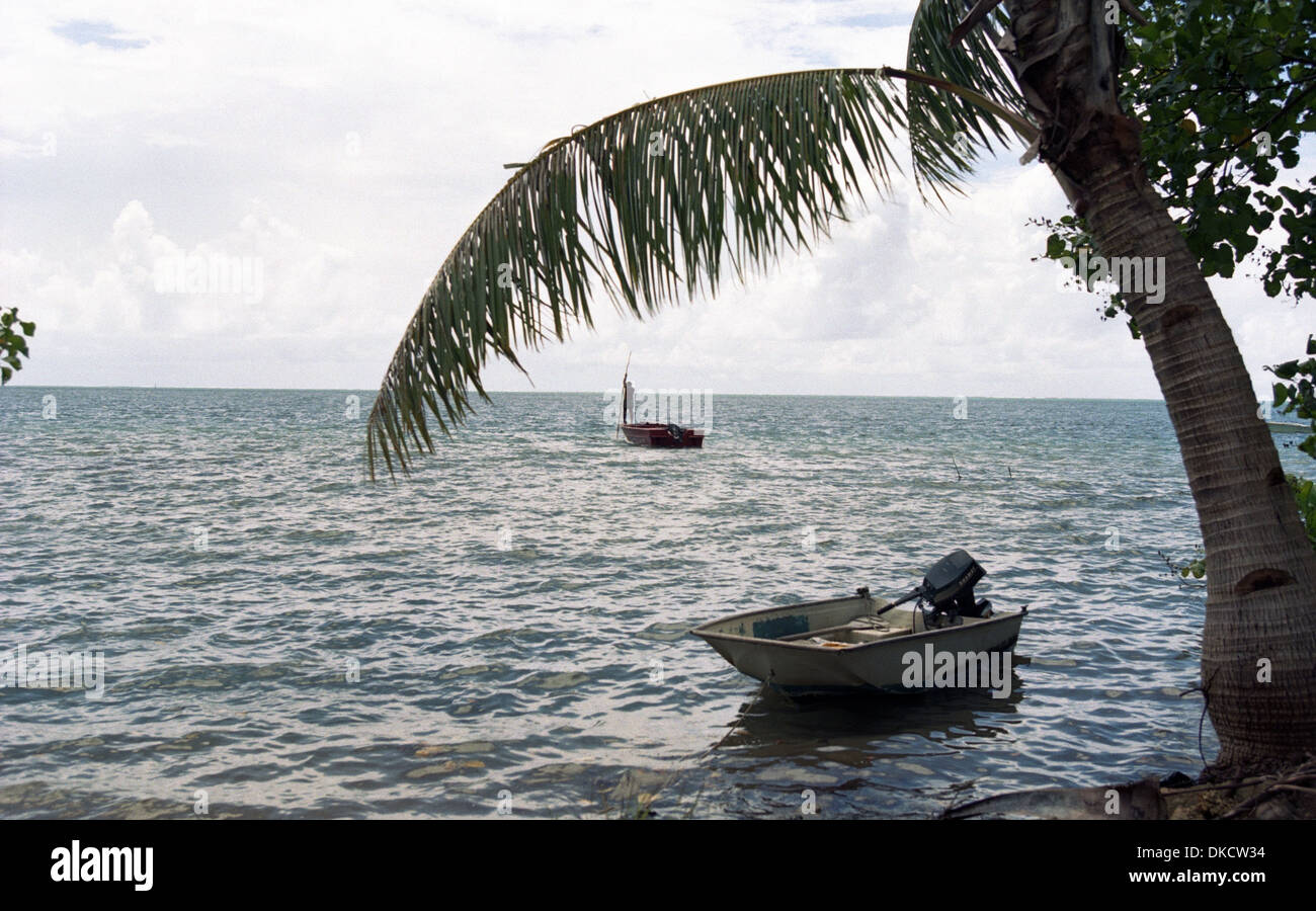 Coconut tree and boat hi-res stock photography and images - Alamy