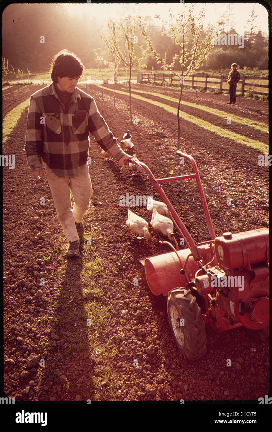 The seeding machine at Tony Owen Organic Farm is used to efficiently ...