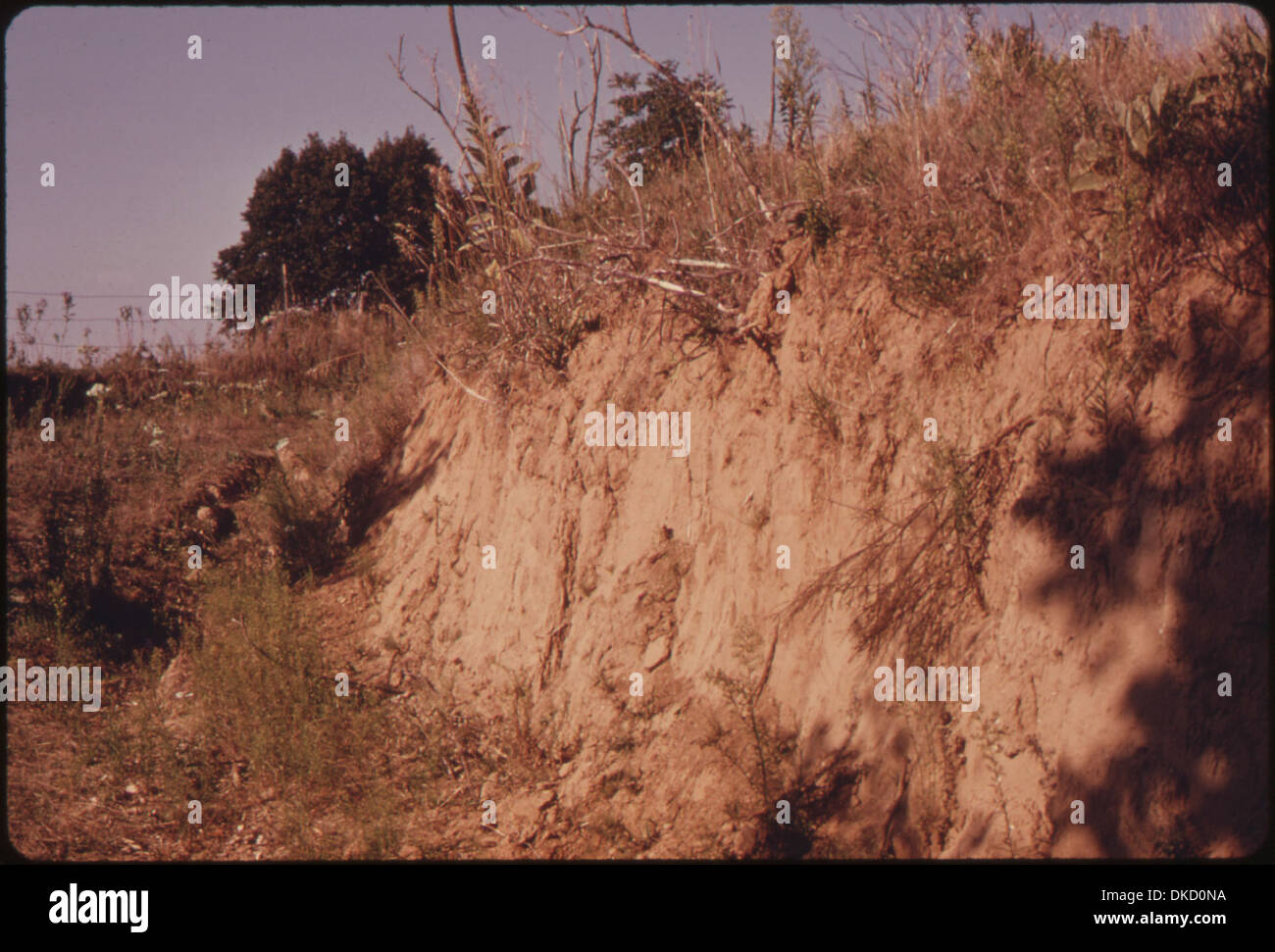 VIEW OF A SMALL LOESS BLUFF, A GLACIAL-FORMED SOLID EARTH BLUFF IN ...