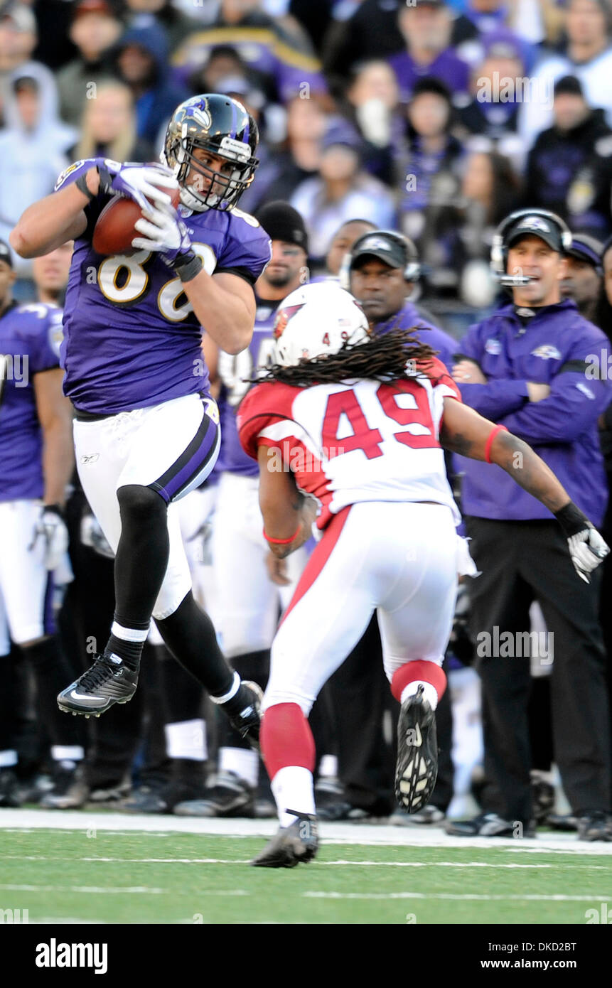 Oct. 30, 2011 - Baltimore, Maryland, U.S - Baltimore Ravens tight end ...