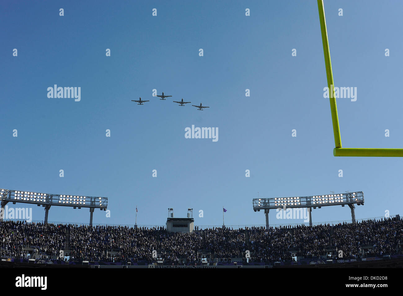 Arizona ravens hi-res stock photography and images - Alamy